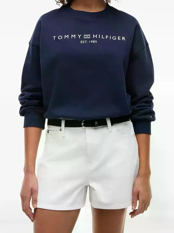 Tommy Hilfiger Logo Print Crew Neck Sweater - Blue