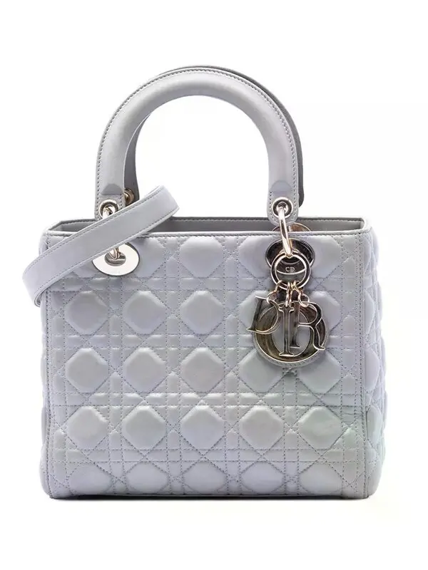 Dior Lady Satchel - Grey
