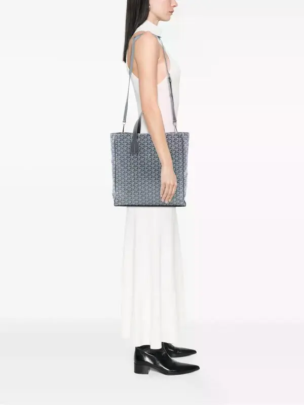 Goyard Voltair Satchel
