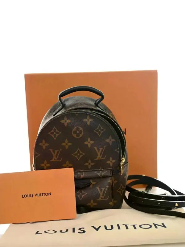 LOUIS VUITTON Monogram Mini Palm Springs Backpack - Brown