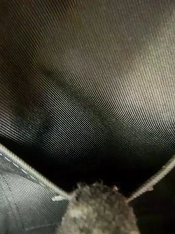 LOUIS VUITTON Monogram Reverse Mini Palm Springs Backpack
