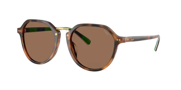 Polo Ralph Lauren Tortoiseshell Wayfarer Sunglasses - Dark Brown