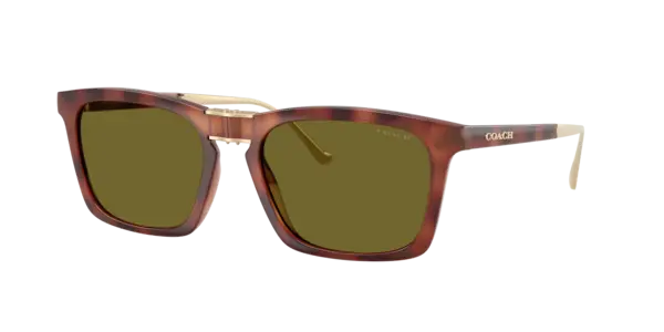 COACH Sunglasses - Brown Solid