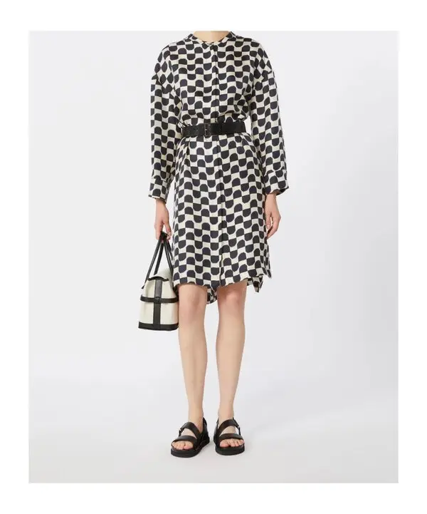 Max Mara Long Sleeve Printed Shirt Dress