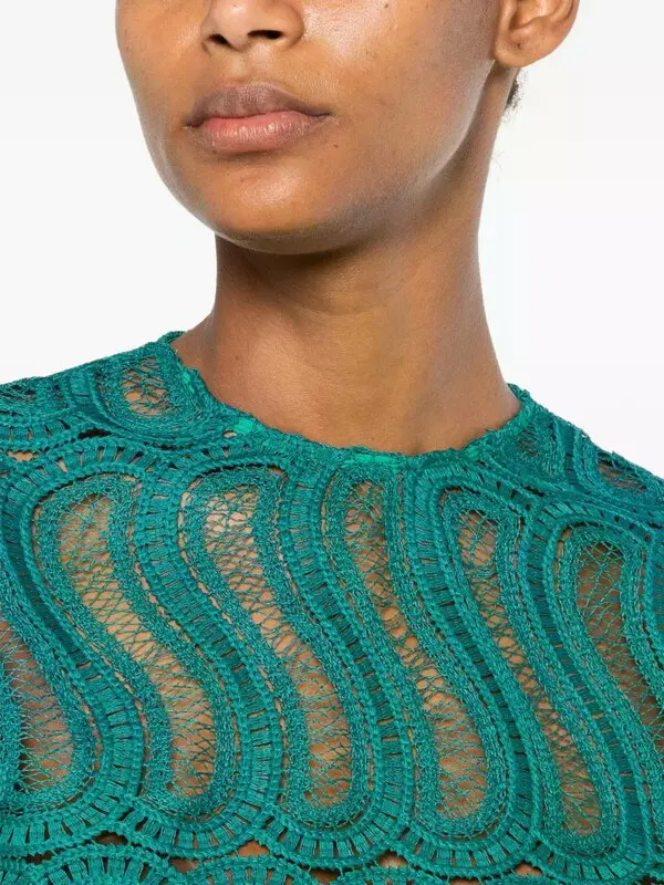 Raquel Diniz Emerald Lace-embroidered Cropped Top