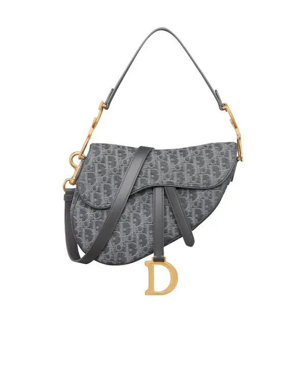 Dior Saddle Bag With Strap - Gray