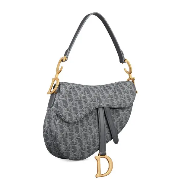 Dior Saddle Bag With Strap - Gray