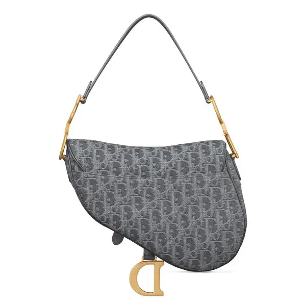 Dior Saddle Bag With Strap - Gray