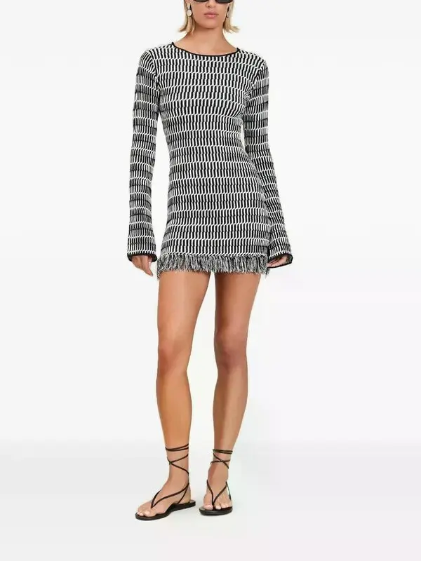 Devon Windsor Devon Costa Fringe-trim Mini Dress