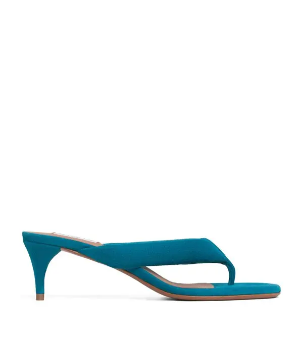 Alaïa Suede Thong Mules 55 - Blue