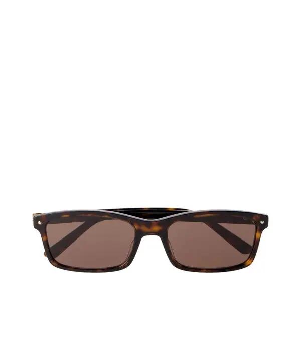 Dior Petit Cd S1i Sunglasses - Tortoiseshell