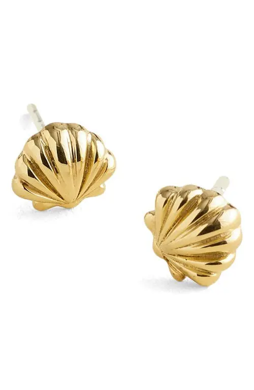 Madewell Demi-fine Shell Stud Earrings - 14k Gold