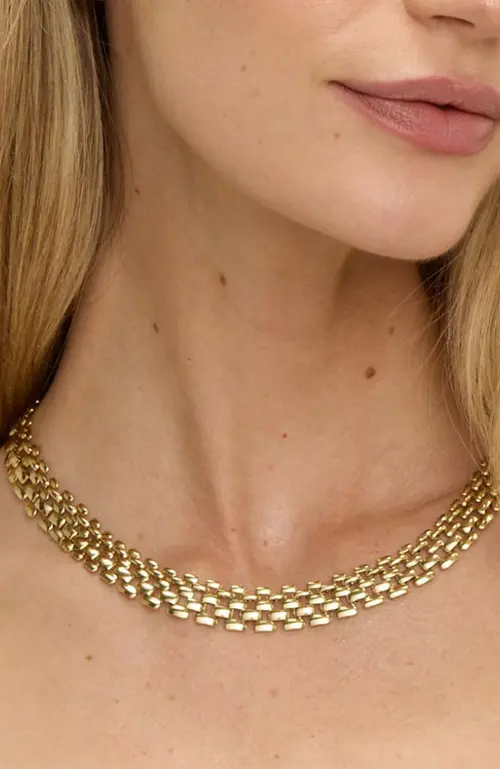Stella & Dot Watch Link Necklace
