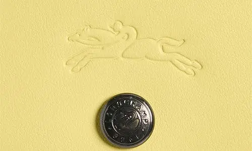 Longchamp Le Pliage Xtra Leather Flap Card Case - Lime