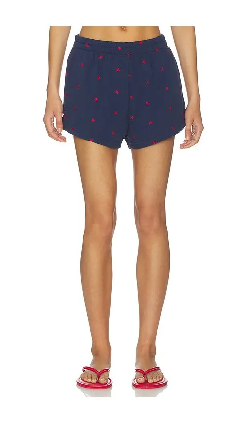 Beach Riot Malik Short