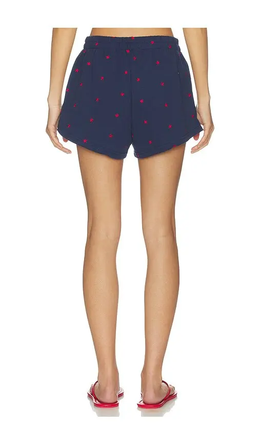 Beach Riot Malik Short
