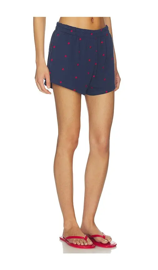 Beach Riot Printed French Terry Shorts