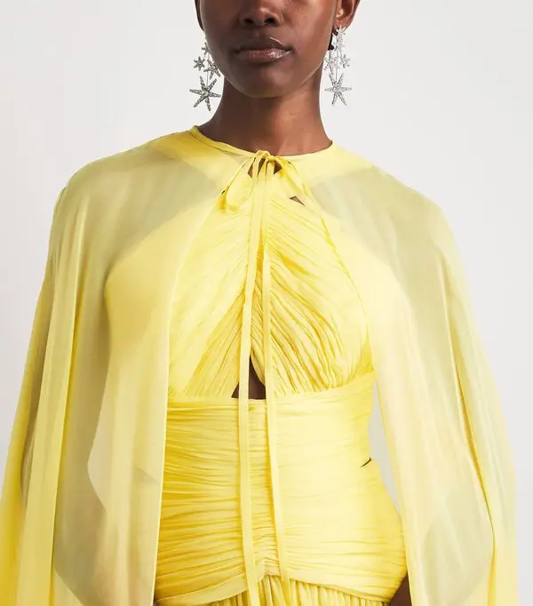Zuhair Murad Silk Chiffon Halterneck Gown With Cape Effect
