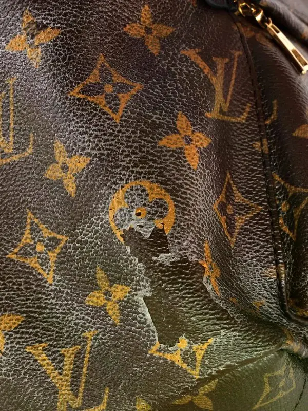 LOUIS VUITTON Palm Springs Monogram Canvas Mm Backpack
