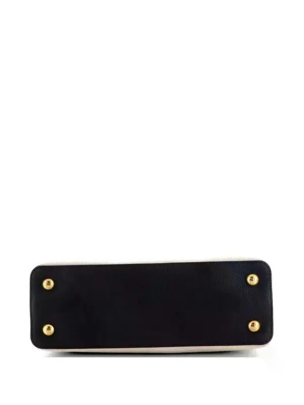 LOUIS VUITTON Capucines Pm Satchel In Canvas And Taurillon Leather