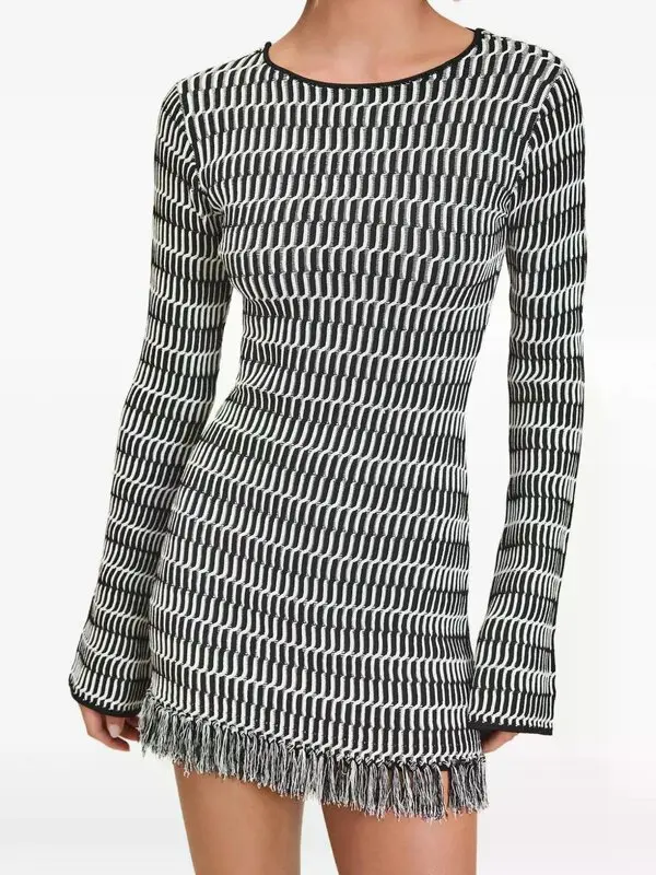 Devon Windsor Devon Costa Fringe-trim Mini Dress