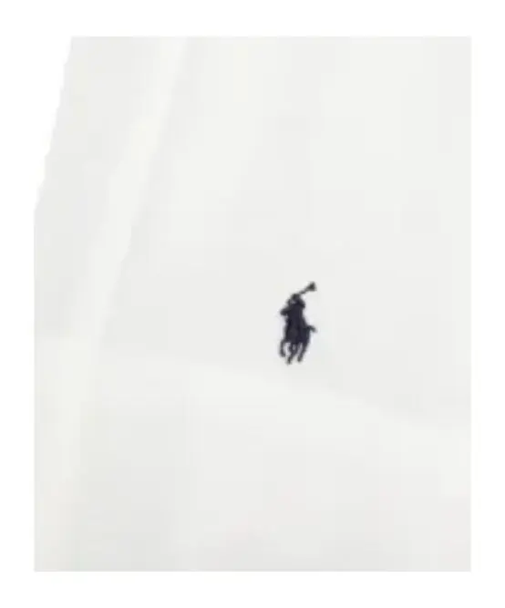 Polo Ralph Lauren Logo Embroidered Drawstring Shorts