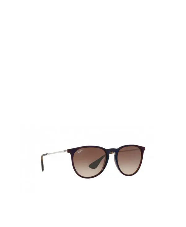 Ray-ban Erika Classic Sunglasses