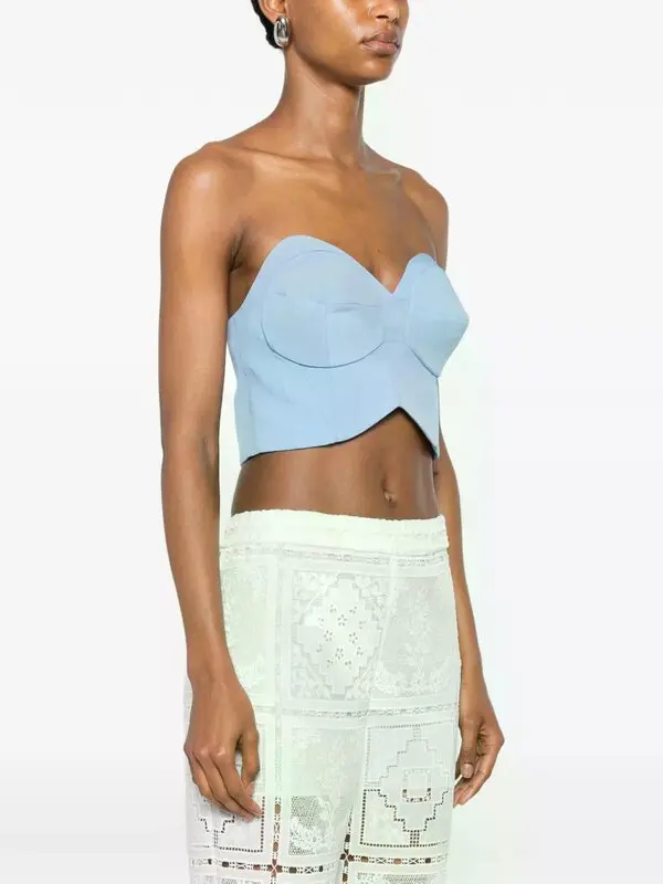 Rabanne Light Panelled Corset Cropped Top