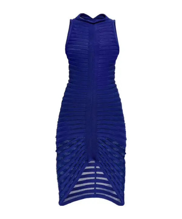 Alaïa Ribbed High Neck Sleeveless Dress