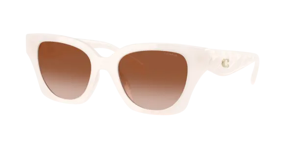 COACH Sunglasses - Brown Gradient