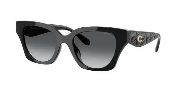 COACH Cad18 Sunglasses - Grey Solid