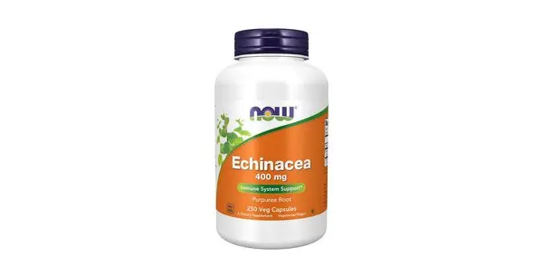 NOW FOODS Echinacea - No Color