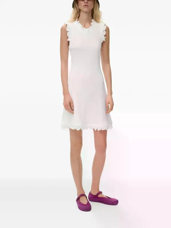 Loewe Ruffled Anagram Mini Dress