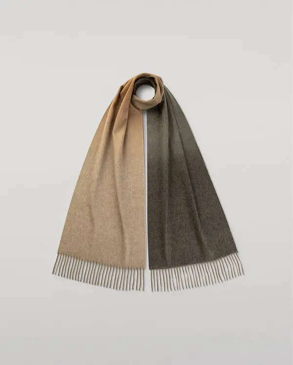 Johnstons Of Elgin Umbra Ombré Cashmere Scarf - Brown