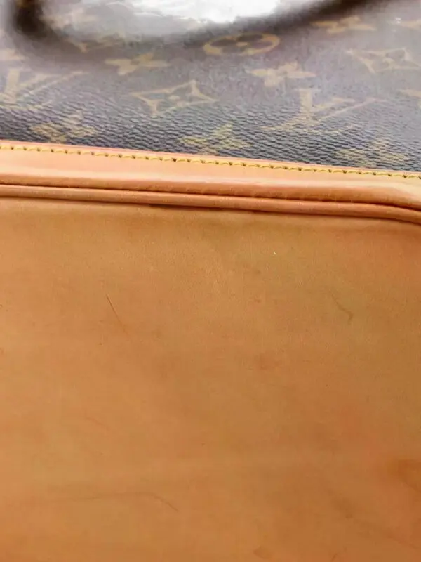 LOUIS VUITTON Monogram Canvas Alma Pm Satchel