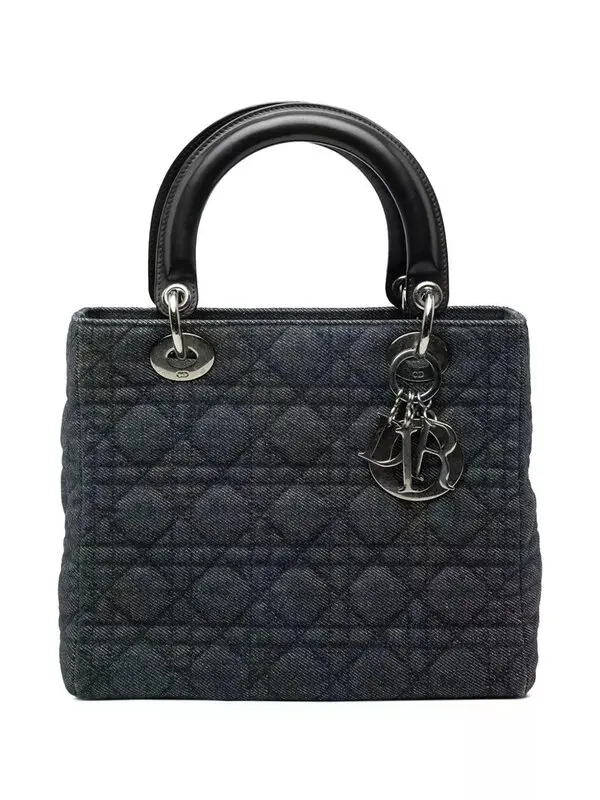 Dior Lady Satchel