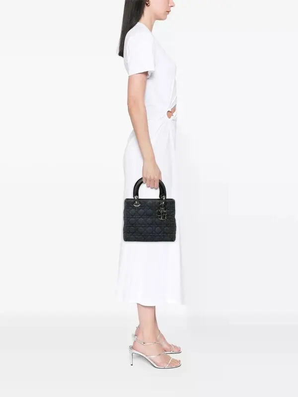 Dior Lady Satchel