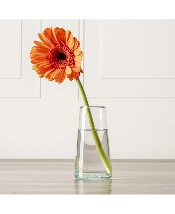 VERVE CULTURE Champagne Glasses, Set Of 6
