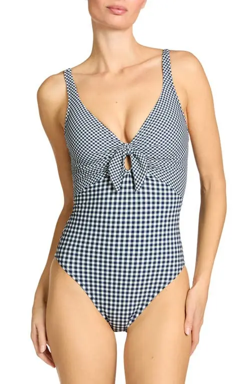 Robin Piccone Brigitte Gingham One-piece Swimsuit - Navy/cream
