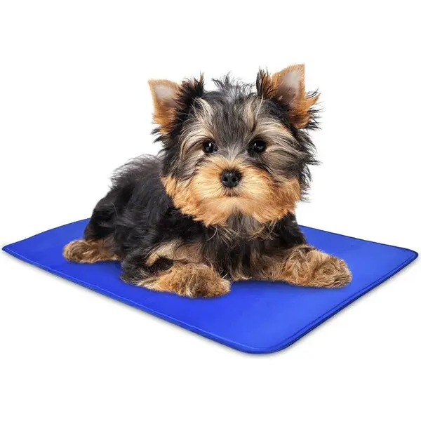 ARF PETS Dog Cooling Mat, Durable, Non-toxic Gel Dog Bed Mat For Kennels - Blue