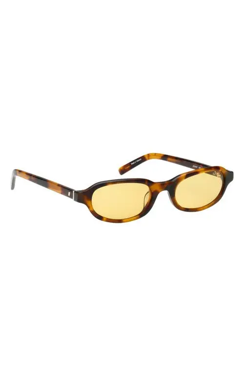 Abercrombie Oval Sunglasses - Dark Havana/brown