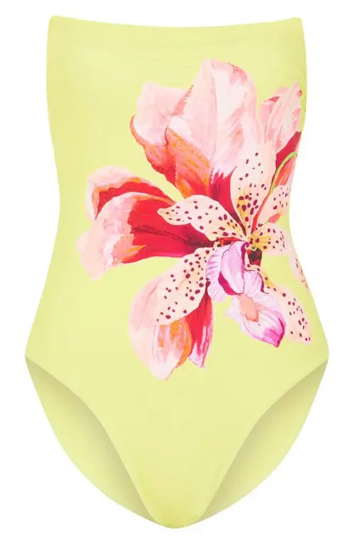 MILLY Songe D'iris One-piece Swimsuit