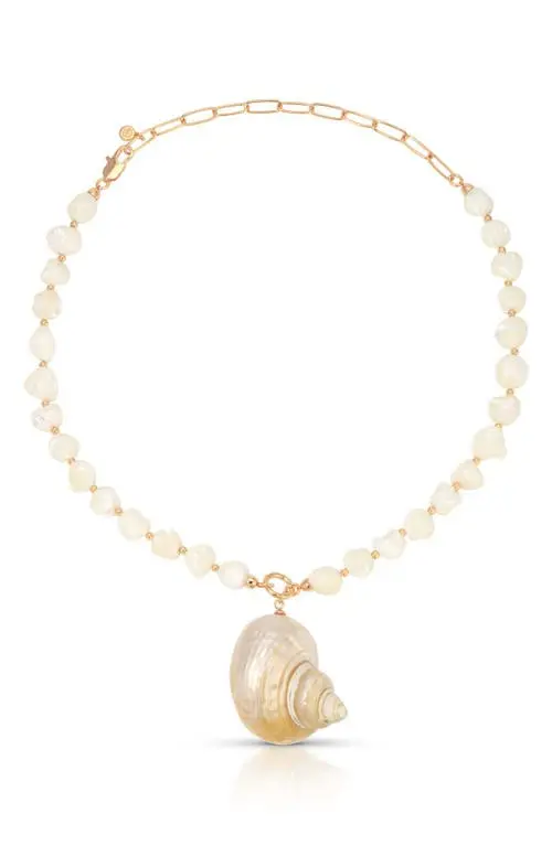 Ettika Sunken Treasure Shell Necklace - Ivory/gold