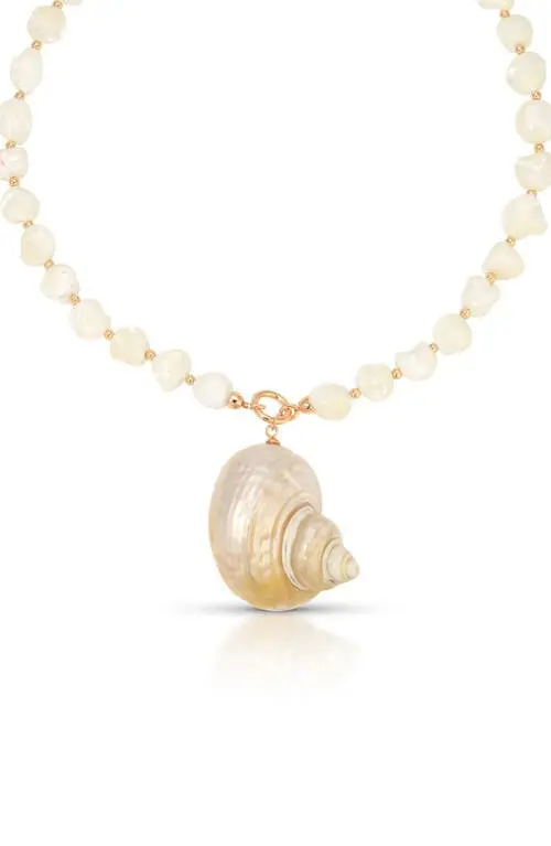 Ettika Sunken Treasure Shell Necklace