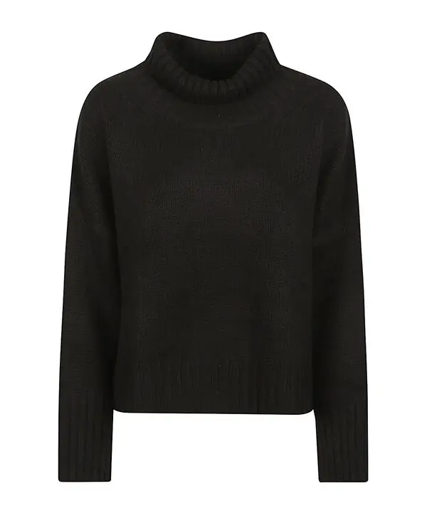 Soft Goat Ribbed Turtleneck Knitwear - Black