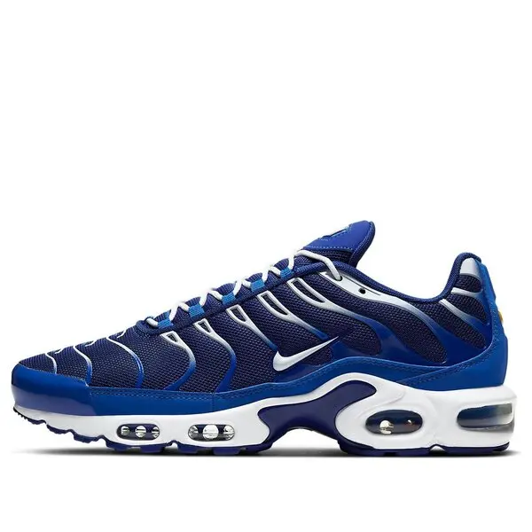 Nike Max Plus "arctic Chill" Sneakers - Blue