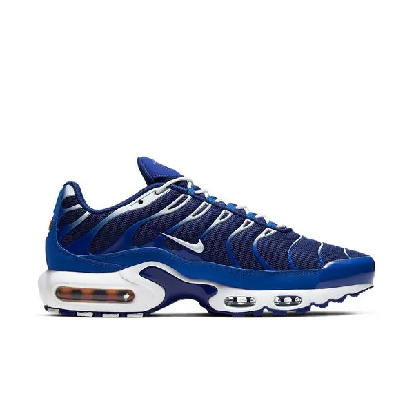 Nike Max Plus "arctic Chill" Sneakers - Blue