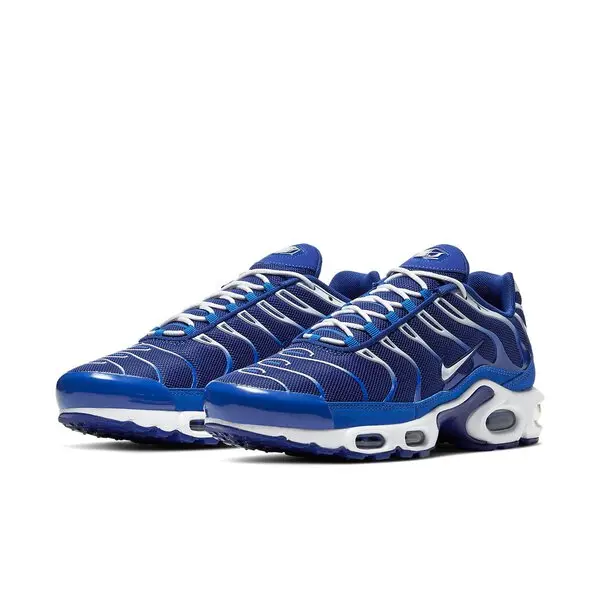 Nike Max Plus "arctic Chill" Sneakers - Blue