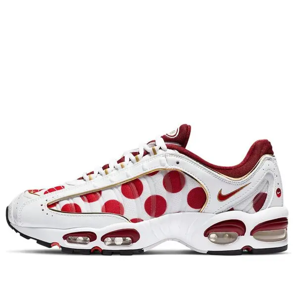 Nike Max Tailwind 4 "nippon" Sneakers
