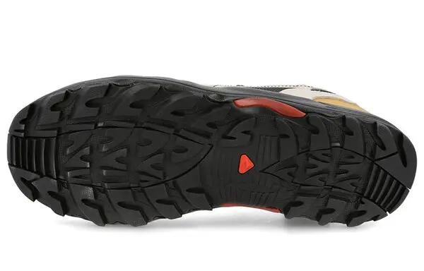 SALOMON Raid Wind Advanced Sneakers